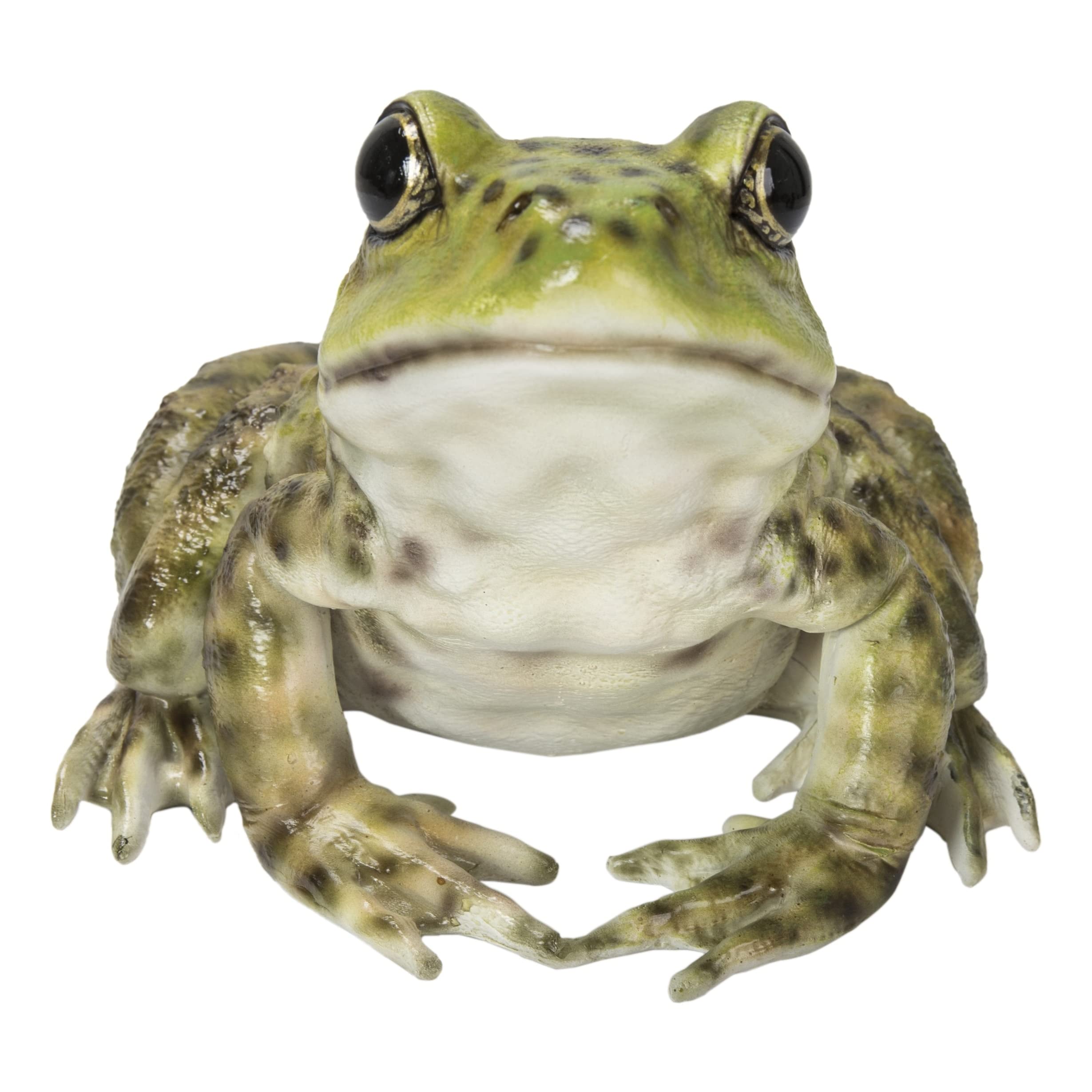American Bullfrog Ultra Realistic Garden Statue Multi Color Polyresin ...