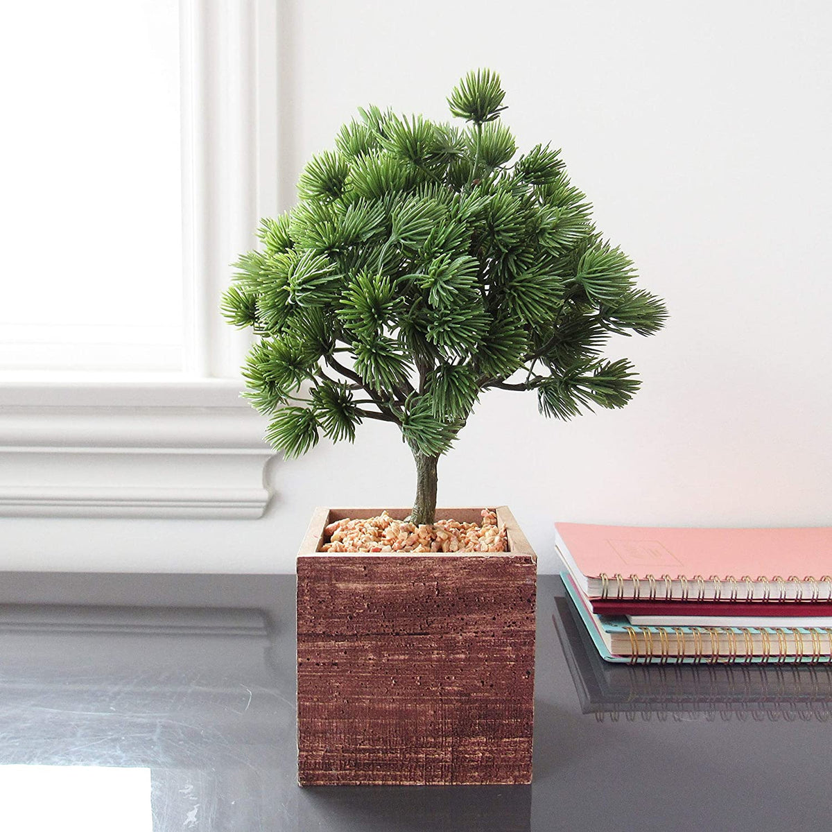 UKN Pine Tree Square Wood Pot 10 5in 10 5" H X 7" W Dp Green – Diamond ...